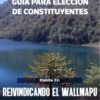 Guía Político Electoral: Especial Elección Constituyente en Chile ...