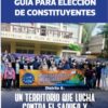 Guía Político Electoral: Especial Elección Constituyente en Chile ...